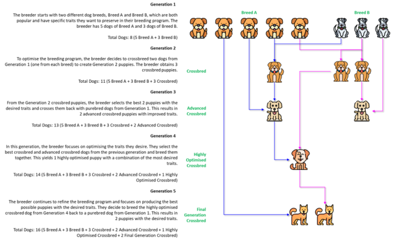 Unravelling the DNA of Data Analytics: The Fibonacci Sequence - exposé